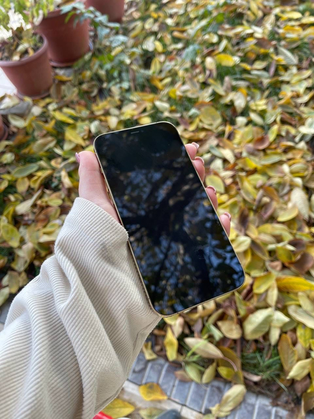 Iphone 12 pro max 256 gb