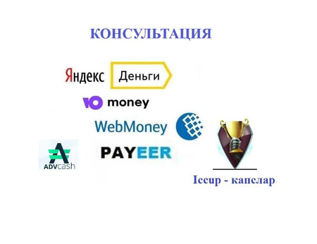 Профессионал маслахатлар Webmoney, Консультация по вебмани