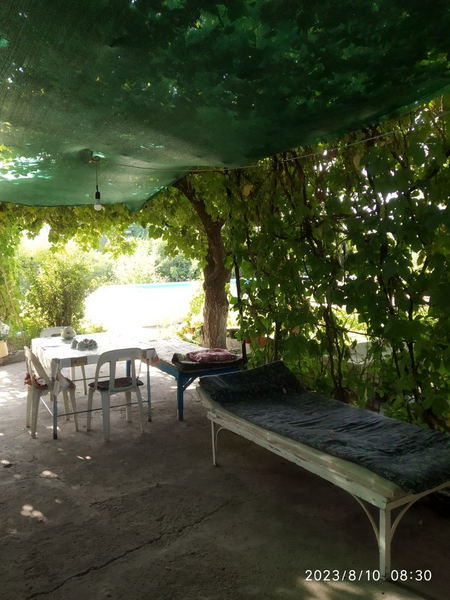 Dacha, Дача аренда
