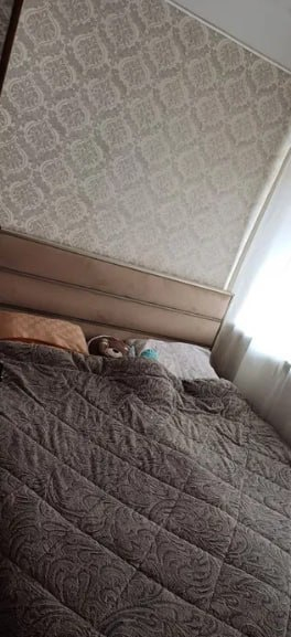 Бобура  2/5/5 Кирпич Балкон2*6м³ Общ пл55м²