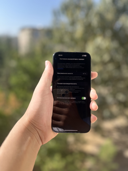 Iphone 13 pro max idial