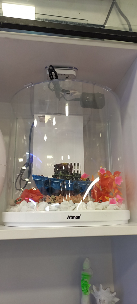 Akvarium va baliq dokoni