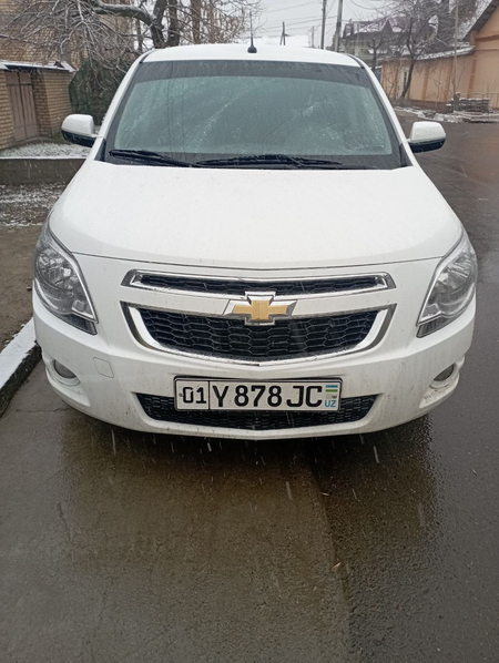 Cobalt 2022 kraska toza