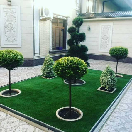 Дарахт ва усимликларни дорилаш.