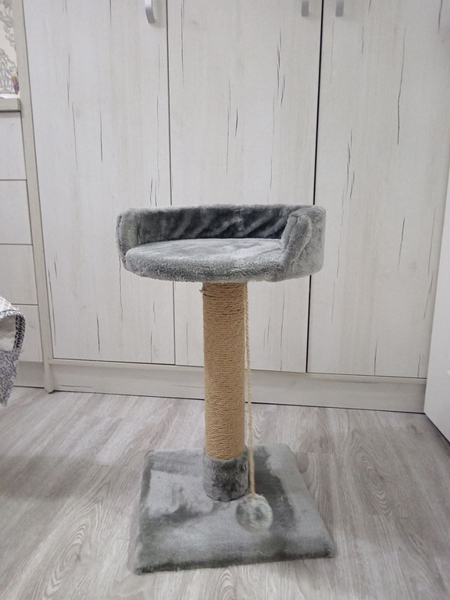 когтеточка для котов