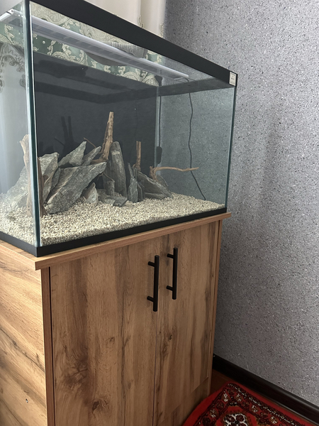 Akvarium - Bek Aquariuim