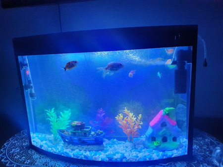 Akvarium sotiladi