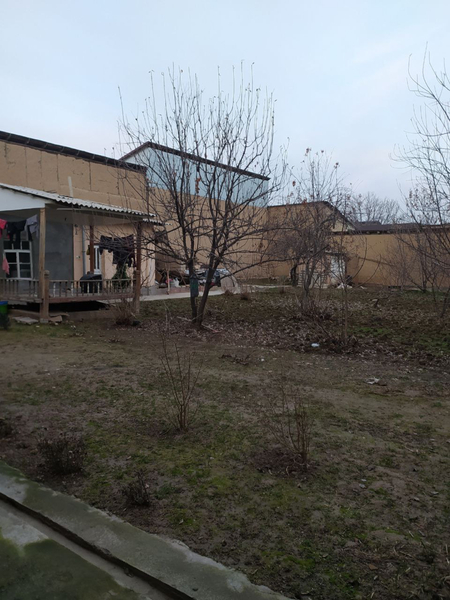 koksaroy maxalla toshken tumani towmi postan 3km krganda 8sotix