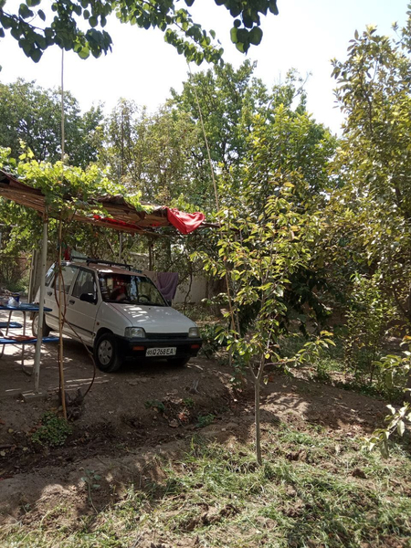 Дача восход Навои