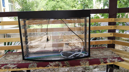 Akvarium baliqlar uchun