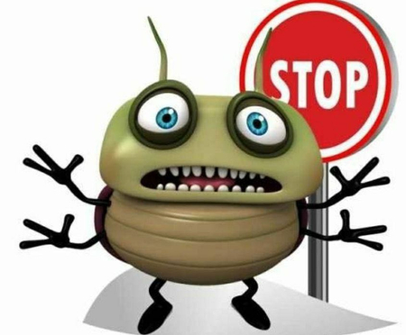 Дезинфекция / Дезинсекция /  Дератизация OOO PEST-FREE