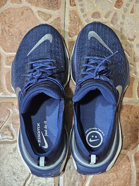 Nike Invincible Run 3 (US 10)