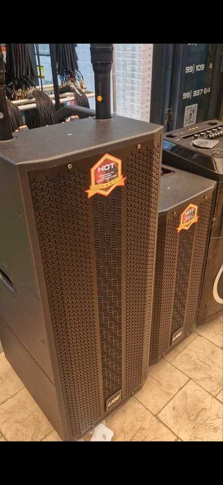 Kalonka LIGE-210 /Профессиональное караоке (1metr -200W)