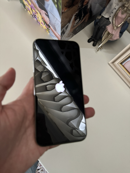 Iphone 15 pro max 256 gb