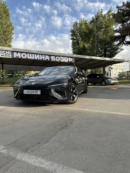 Neta S 2024 2 поз с доп опциями