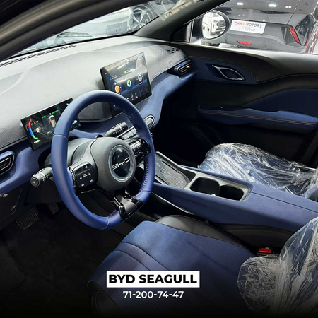BYD SEAGUL arzon narxda va garantiya bilan birga sotib oling