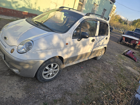 Mating best gazi bor