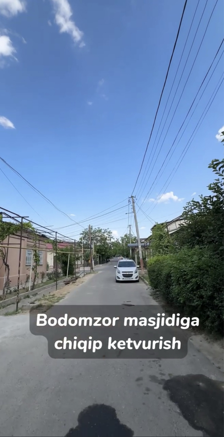 Bodomzor 4 sotik  uchaska sotiladi
