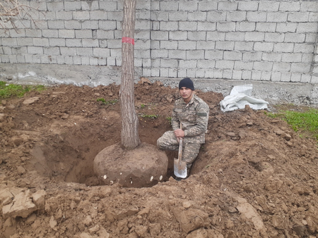 Daraxt Kovlash kochatlani  komma qilip olish