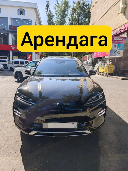 Byd chempion 2024