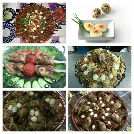 25kunlik bedana xoʻroz sotiladi