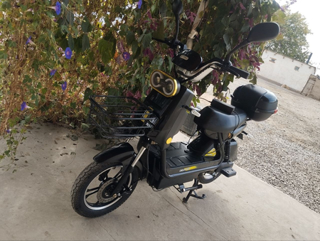Largo Motors Eco Bike