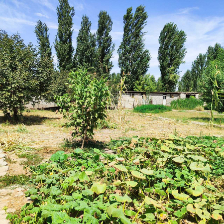Дом в Куйичирчикском районе