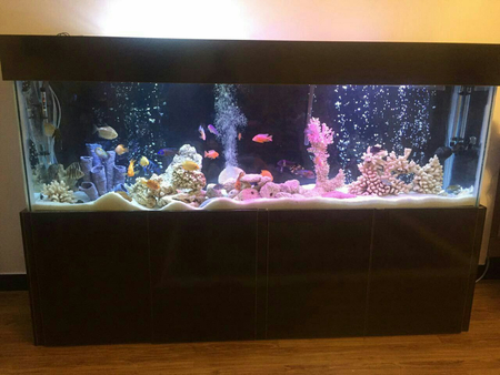 Akvarium Tozalash xizmati