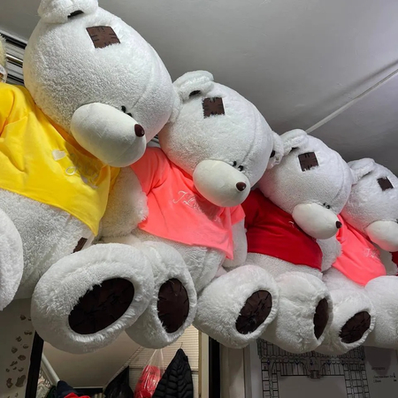 Teddy ayiqlari va yumshoq oyinchoqlar