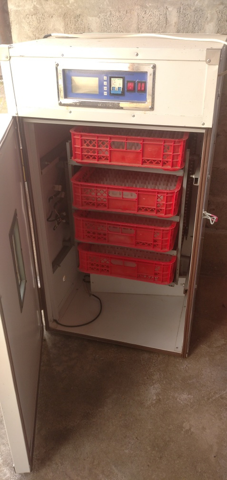 Инкубатор 350тали, автомат