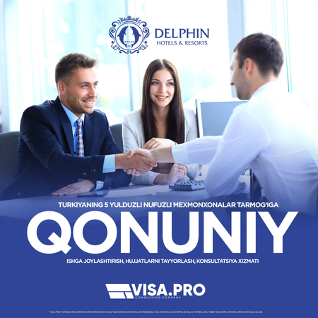 Visa pro konsalting xizmati