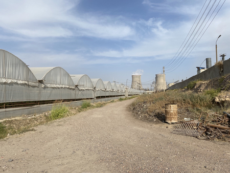 Продается Теплица 2,8га. Охангарон. Issiqxona sotiladi 2,8 gektar.