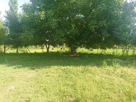 Uchastka sotiladi / продаётся участка