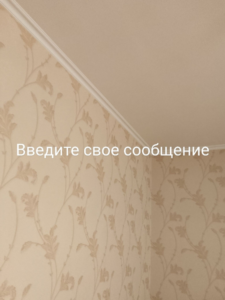 Женщины маляры.Косметические ремонты квартир.