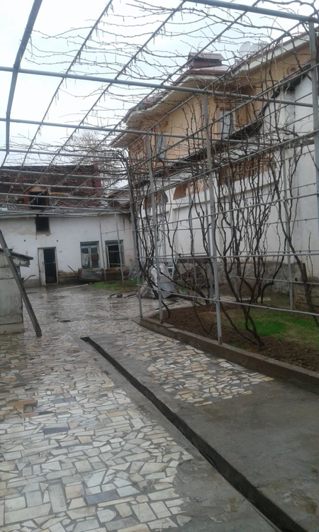 Срочна karasuv 1 7.1 sotiq 208-maktab orqadida uchastka