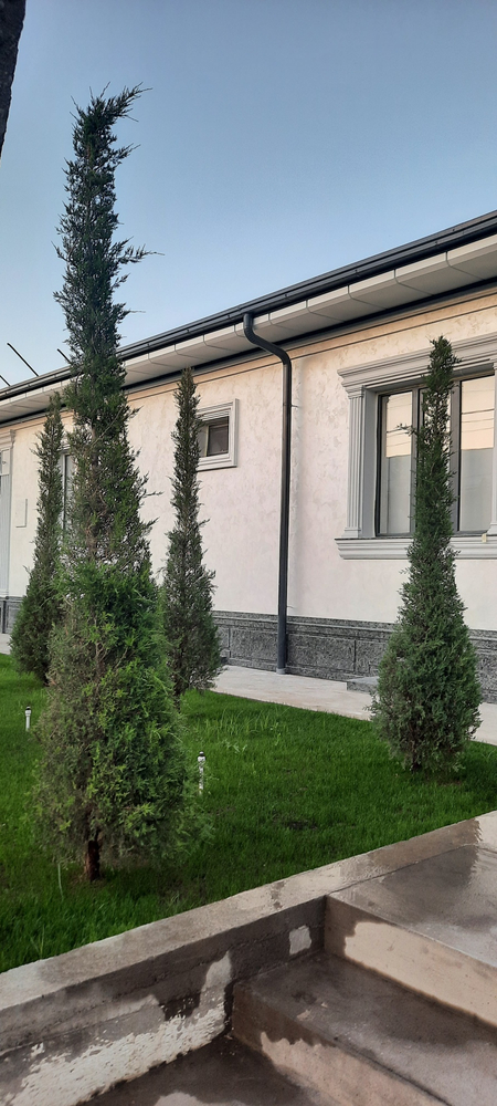 Malyarka xizmatlari