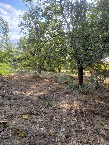 Dacha quriw uchun yer sotiladi 6 sotox