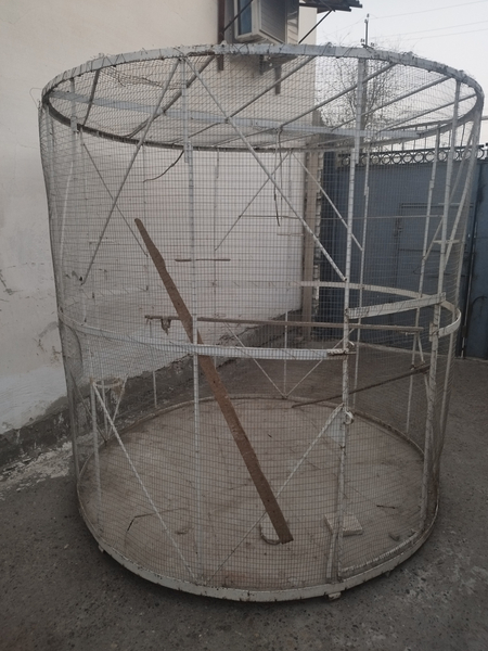 Setka qushlar qafasi