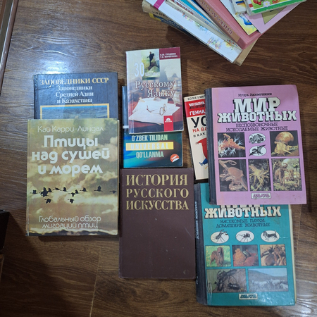 30 шагов к русскому языку, литература учебник