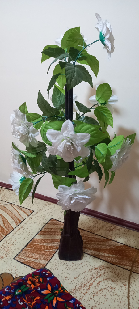 Дарахтли гуллар 4 та