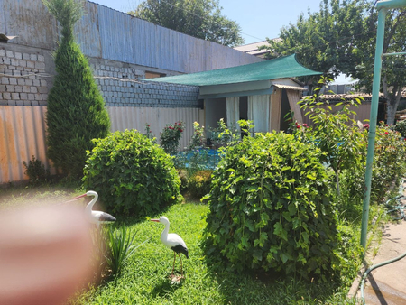 Продаю 13 сот кибрай центр дом 5ком фасад 18×80 в шикарном месте