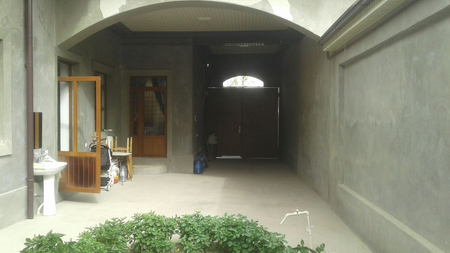 Toshken tumani koʻk terak