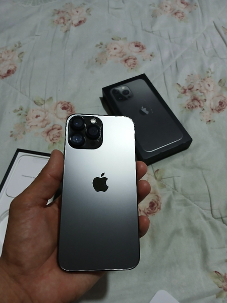 iPhone 13 Pro Max 128/91%