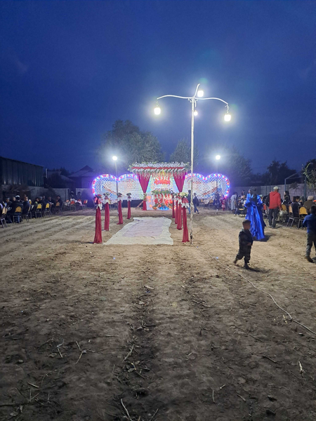 Saxna sotiladi gullari kampilikit