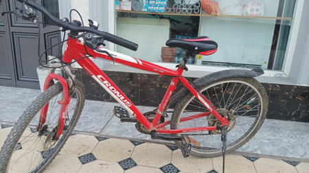 Velik sotiladi narxi 840.000