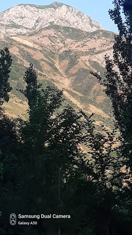 Tosh vil. Boʻstonliq tum. Sijjak qishlogʻida uy sotiladi