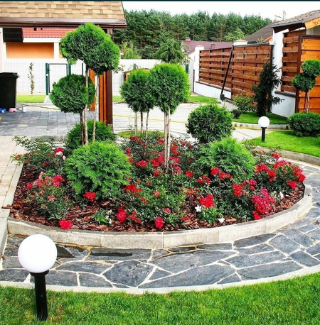 Archa qirqish  , dorilash , gazon va lanshaft xizmatlarimz bor