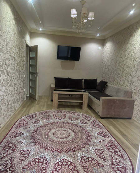 Ц17.  Себзар  .1в2/3/4.  кирпич ( мебель + техника )
