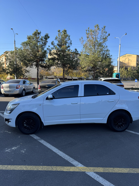 Srochna Cobalt 2024 arenda