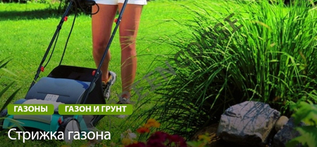Стрижка газона в Ташкенте